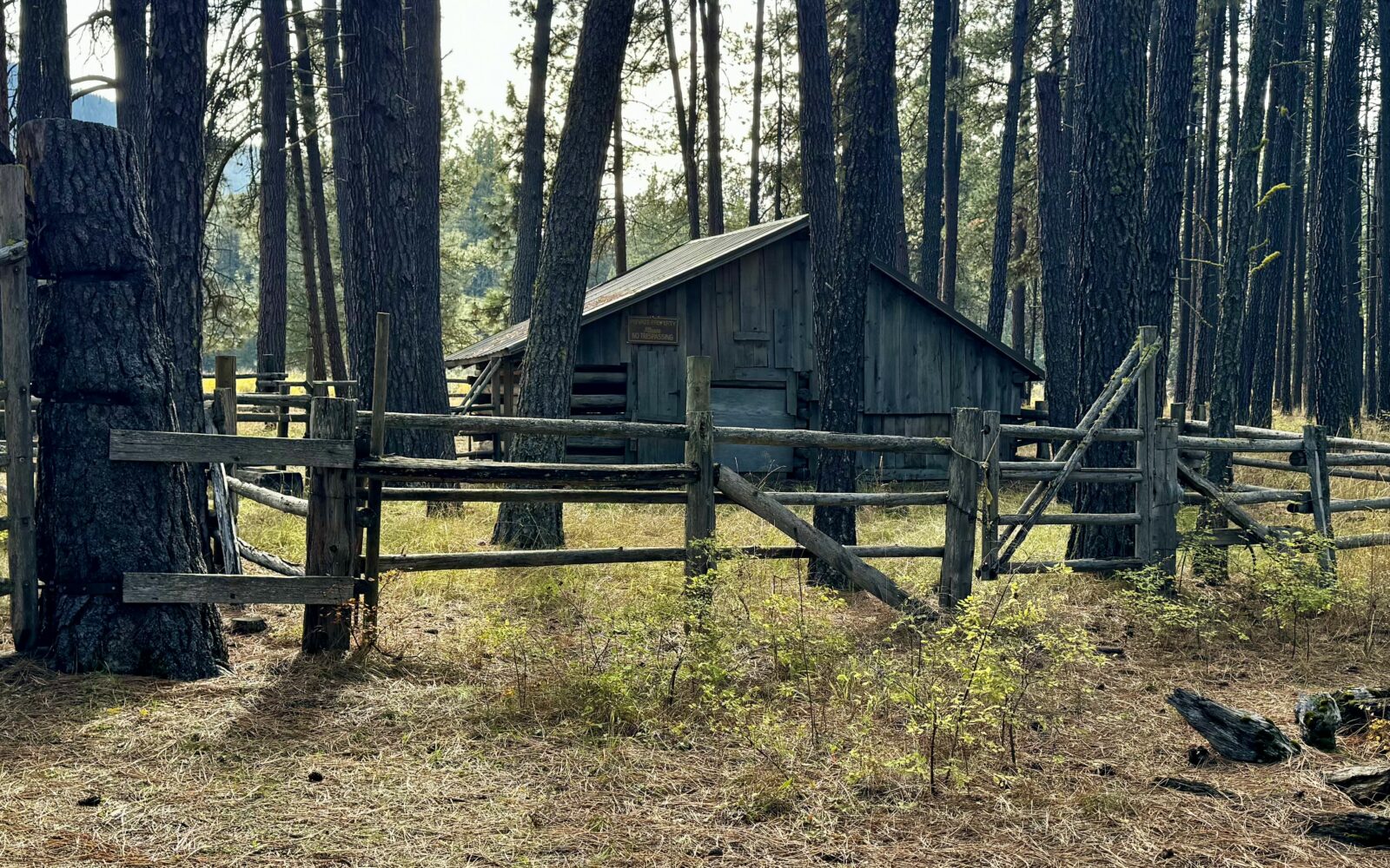 Green Ridge Lookout / Gravel Ride Guide by Dirty Freehub