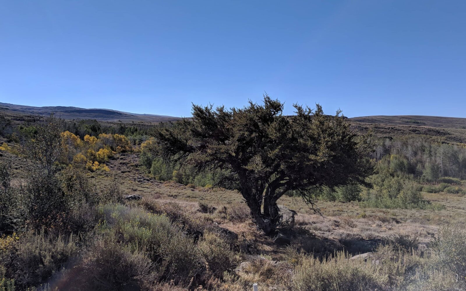 Steens Mountain Tour / Gravel Ride Guide by Dirty Freehub