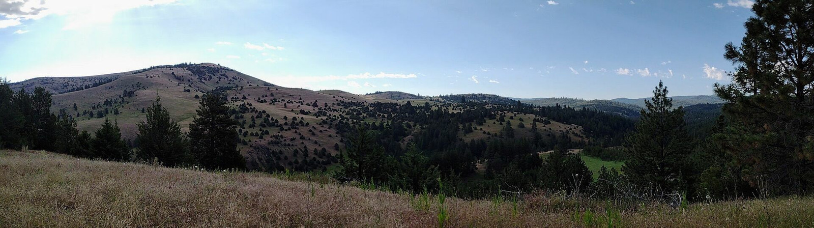 Kinzua! / Gravel Ride Guide by Dirty Freehub