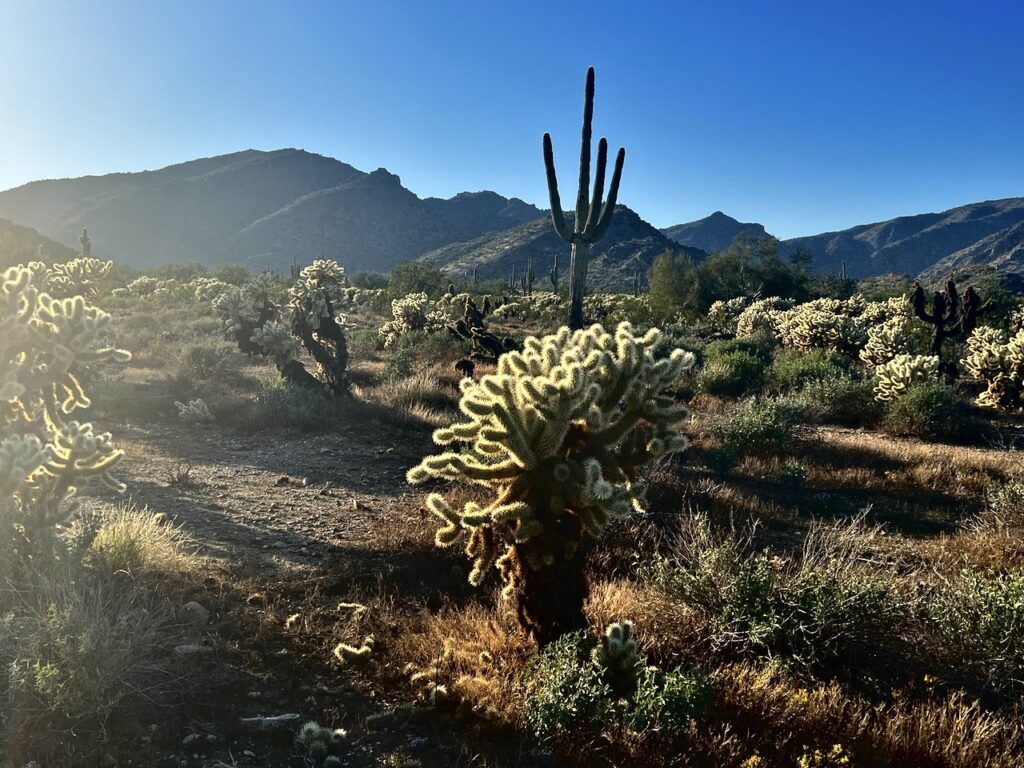 White Tank / Gravel Ride Guide by Dirty Freehub