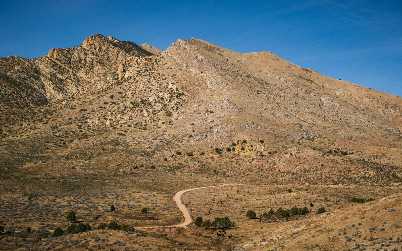 Apex Mine / Gravel Ride Guide by Dirty Freehub