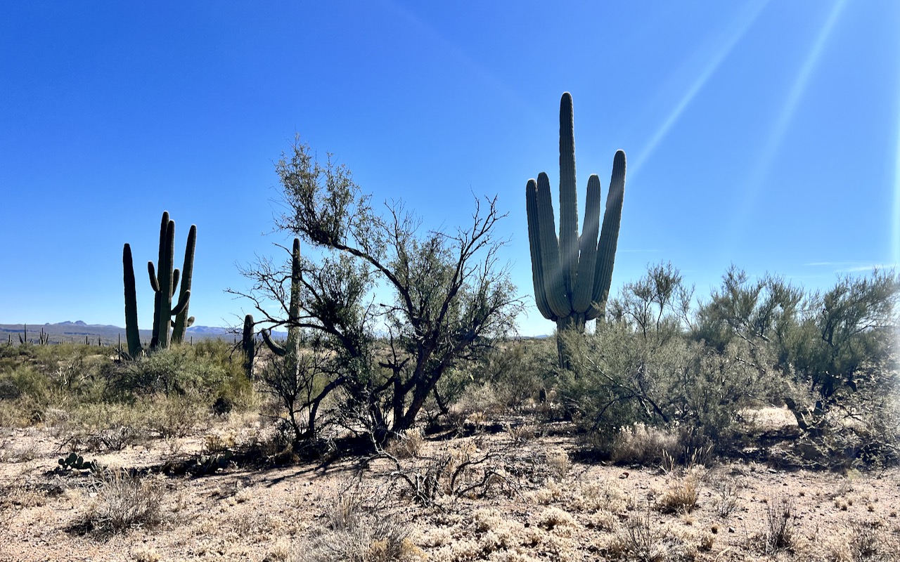 A7 / Gravel Ride Guide by Dirty Freehub