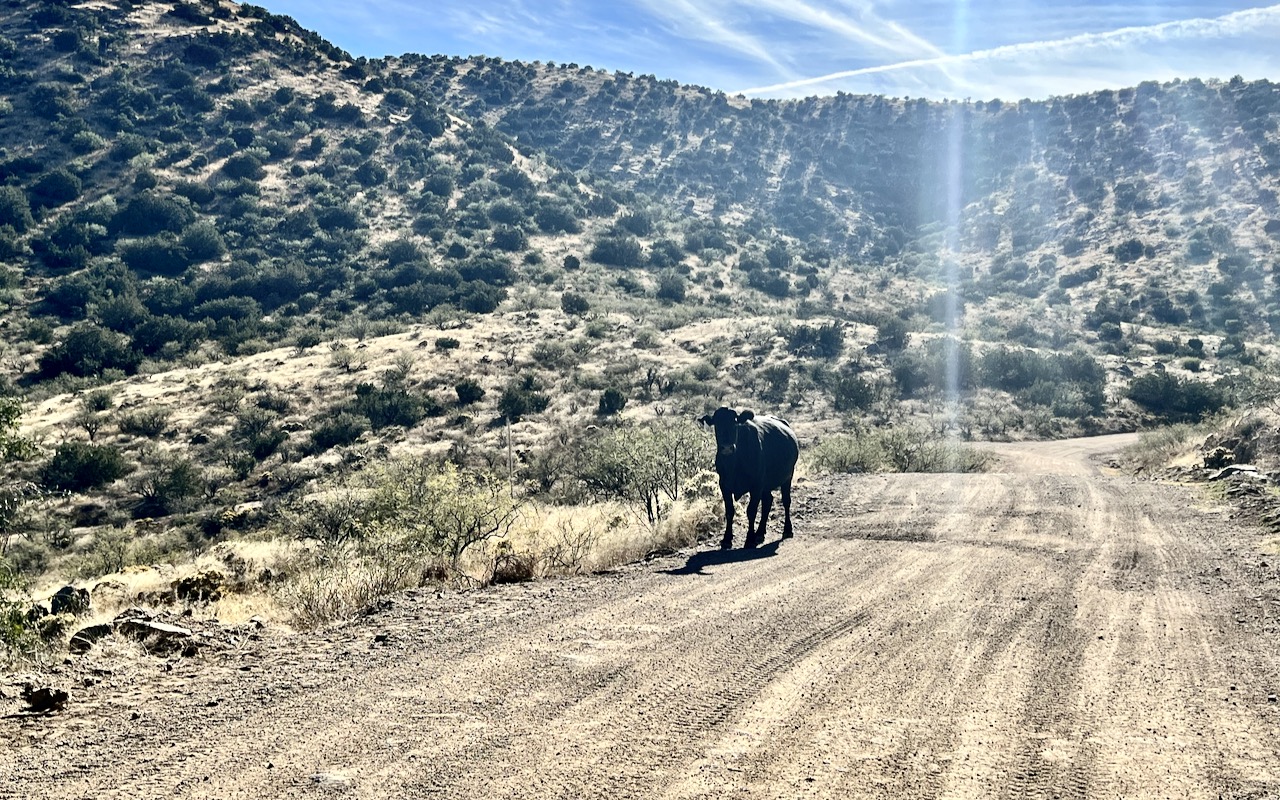 A7 / Gravel Ride Guide by Dirty Freehub