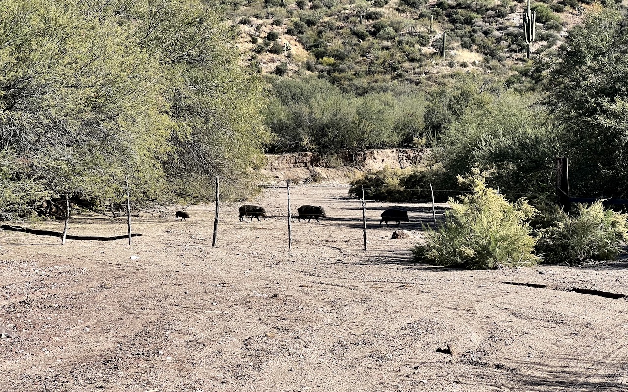 A7 / Gravel Ride Guide by Dirty Freehub