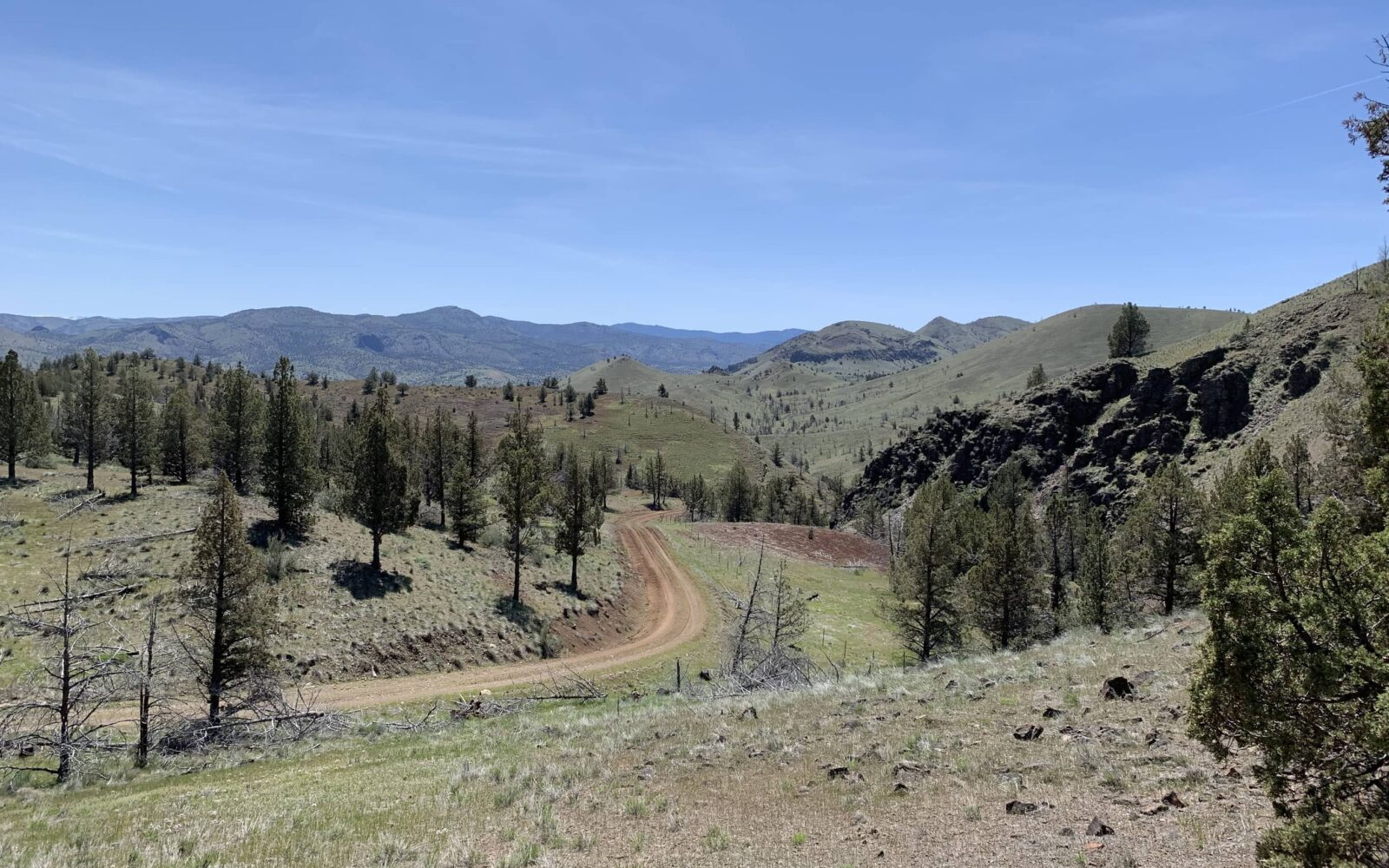 Rajneeshee / Gravel Ride Guide by Dirty Freehub