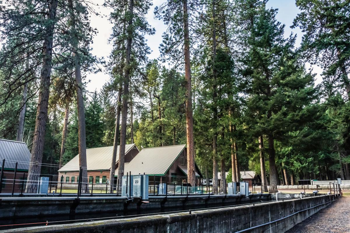 Horn of the Metolius / Gravel Ride Guide by Dirty Freehub