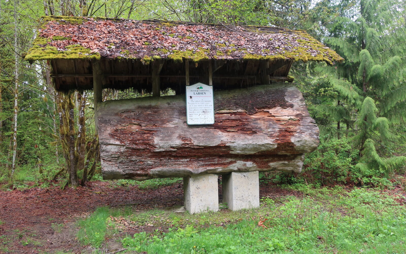 Concrete Highlands / Gravel Ride Guide by Dirty Freehub