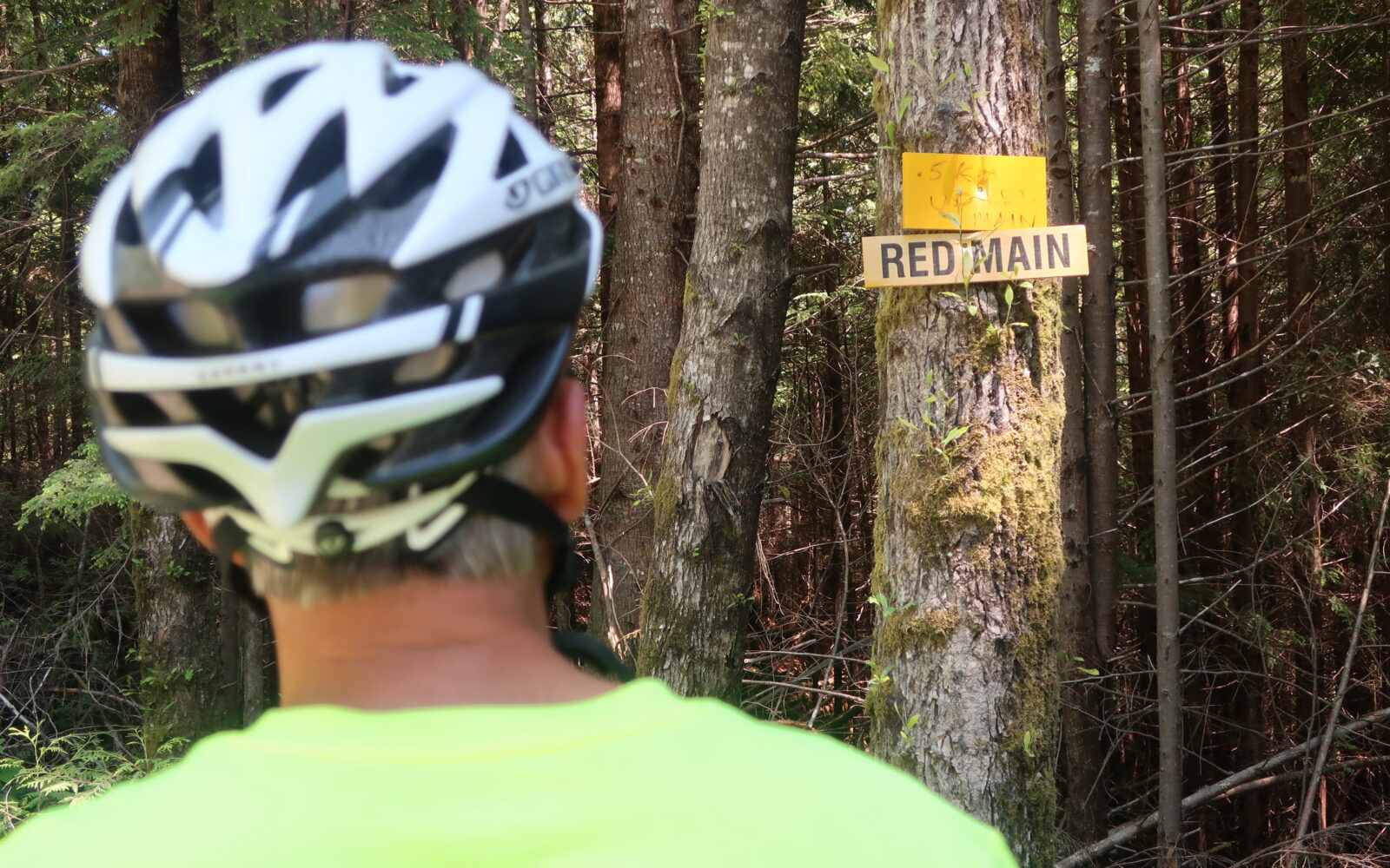 Big & Small Trees Loop / Gravel Ride Guide by Dirty Freehub