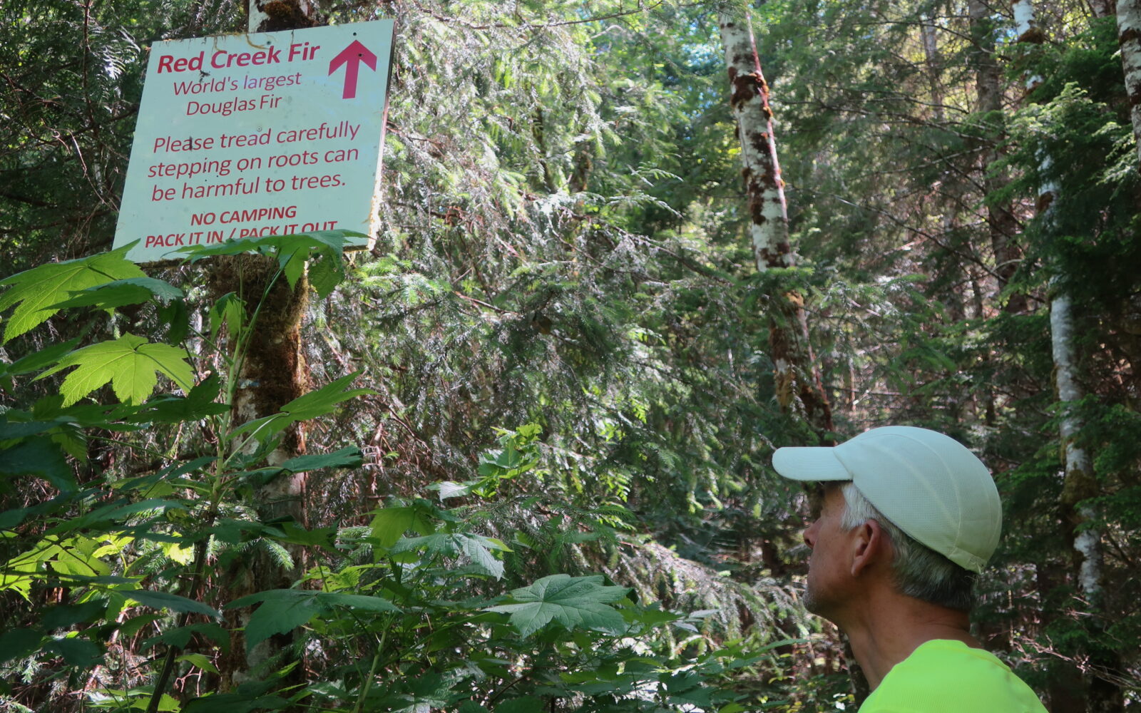 Big & Small Trees Loop / Gravel Ride Guide by Dirty Freehub