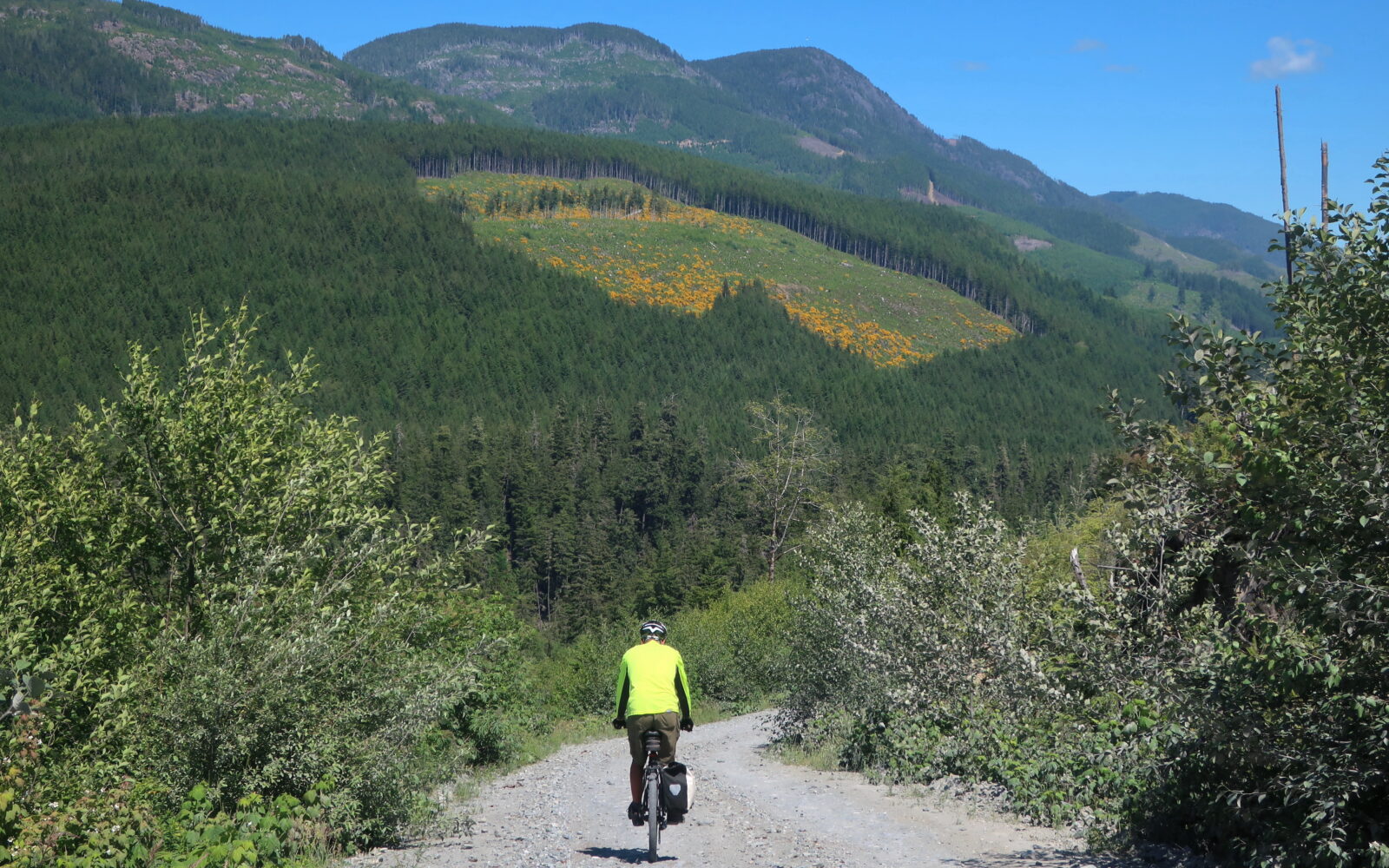 Big & Small Trees Loop / Gravel Ride Guide by Dirty Freehub