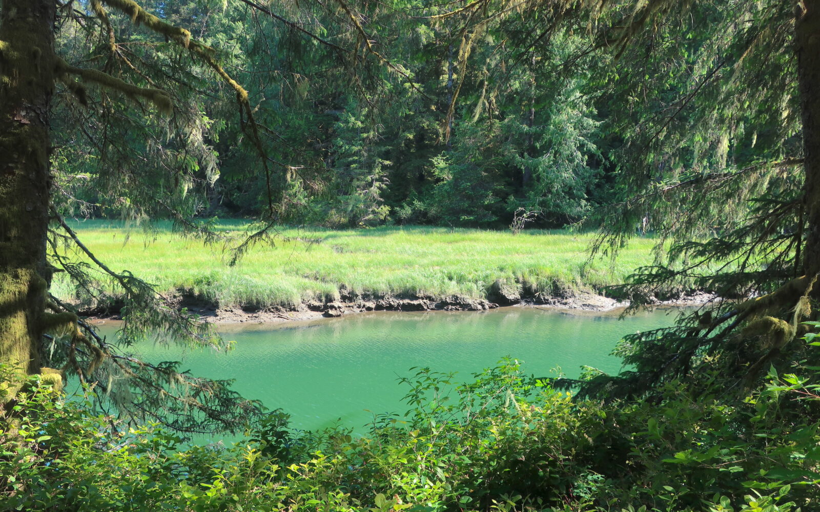 Big & Small Trees Loop / Gravel Ride Guide by Dirty Freehub