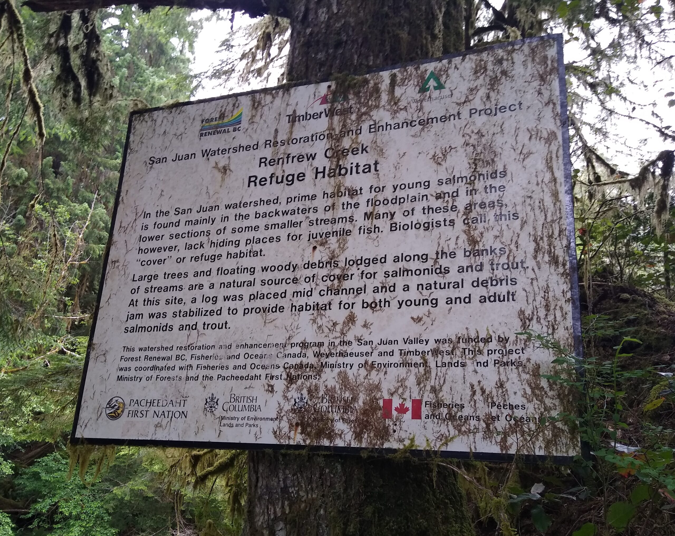 Big & Small Trees Loop / Gravel Ride Guide by Dirty Freehub