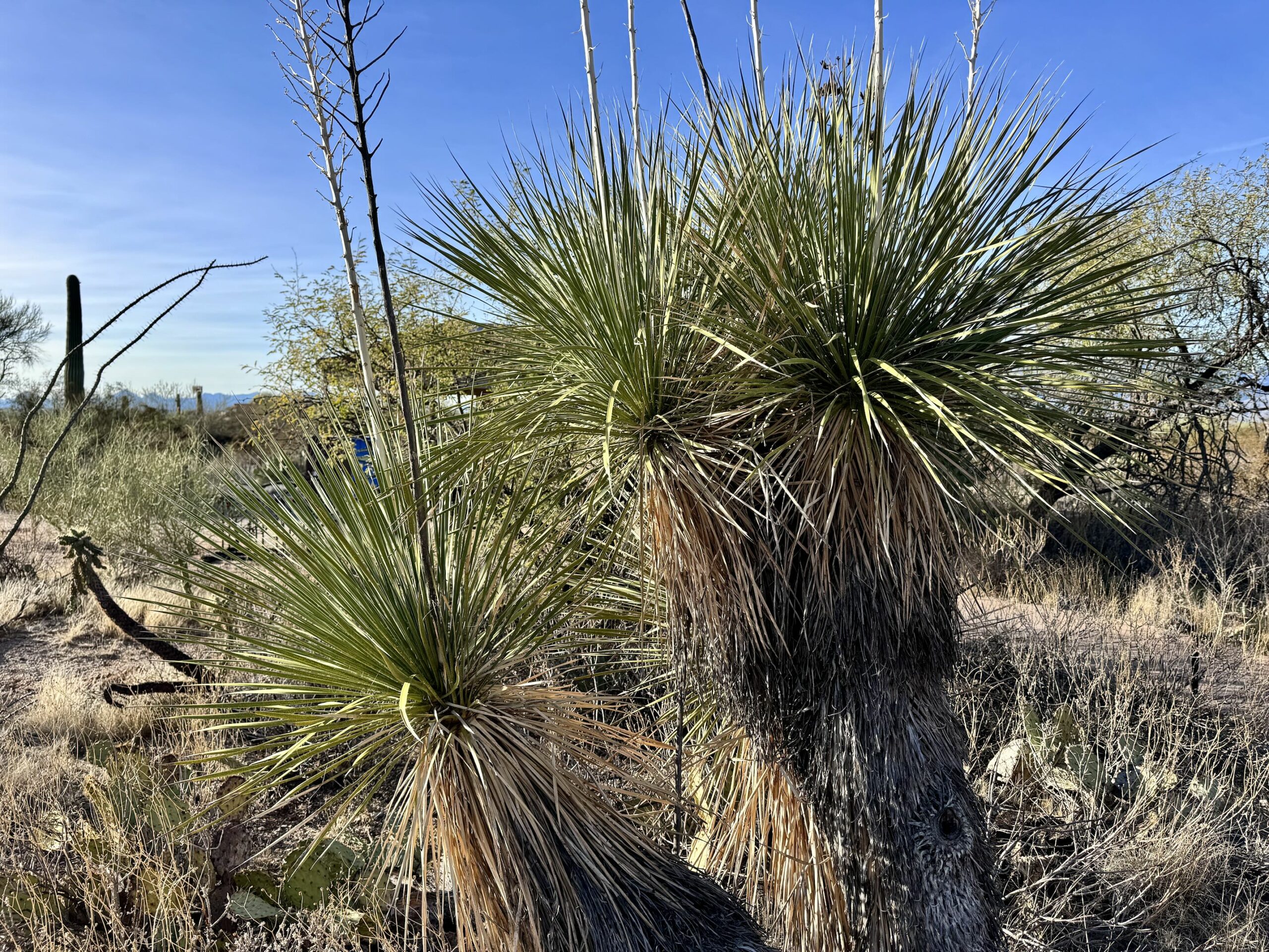Presumido Stage Stop / Gravel Ride Guide by Dirty Freehub