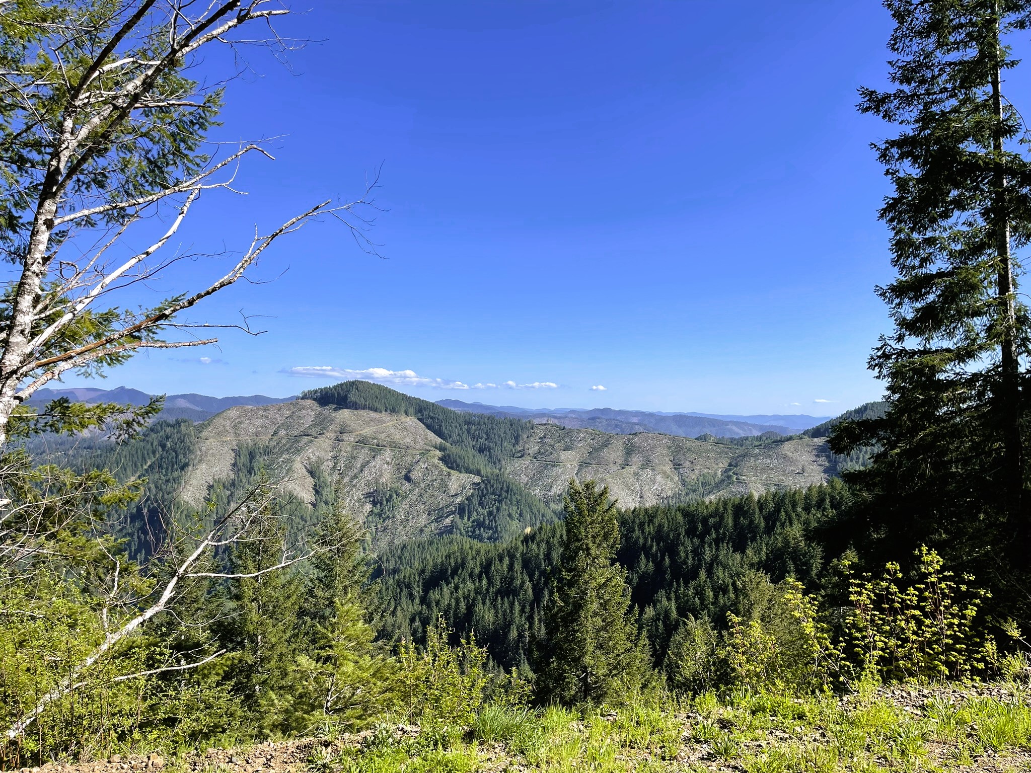 CheddarHead / Gravel Ride Guide by Dirty Freehub