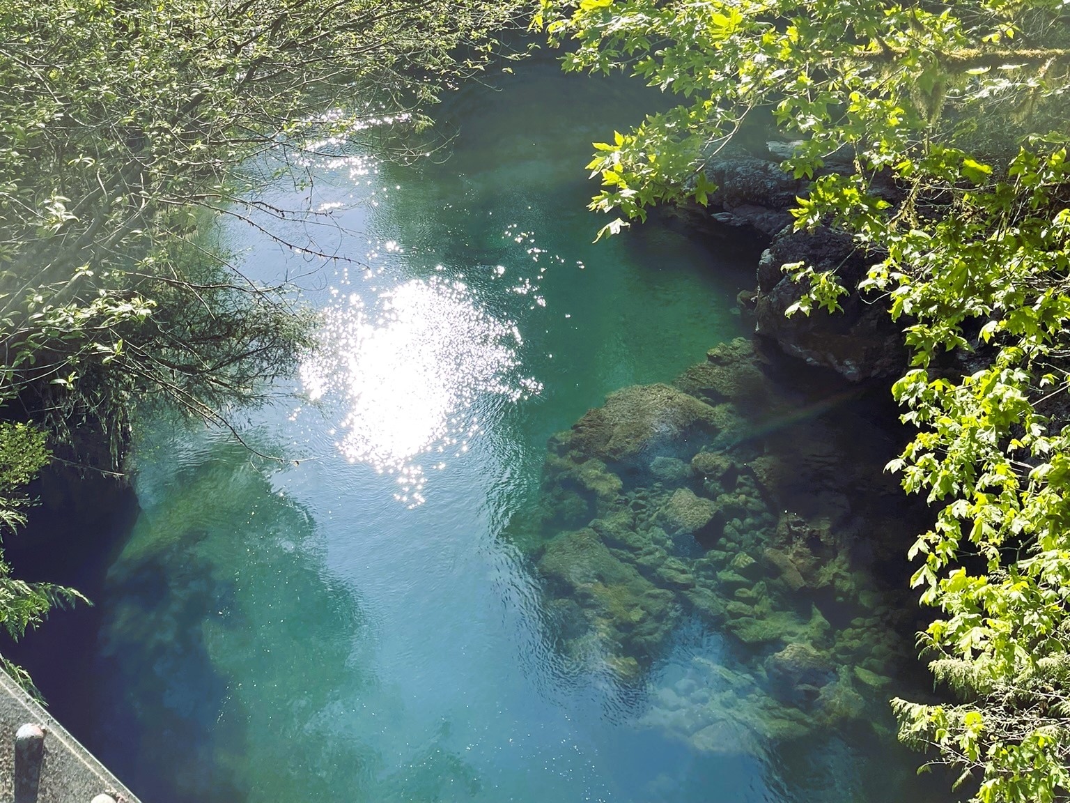 CheddarHead / Gravel Ride Guide by Dirty Freehub