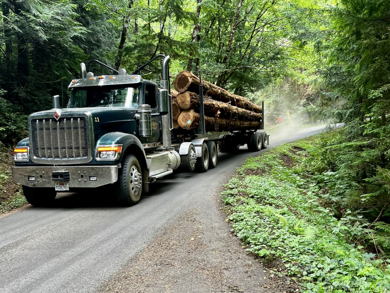 Timberlands Riding Etiquette - Dirty Freehub