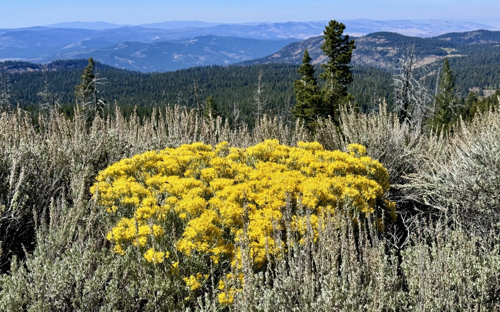 Drake Peak Lookout / Gravel Ride Guide by Dirty Freehub