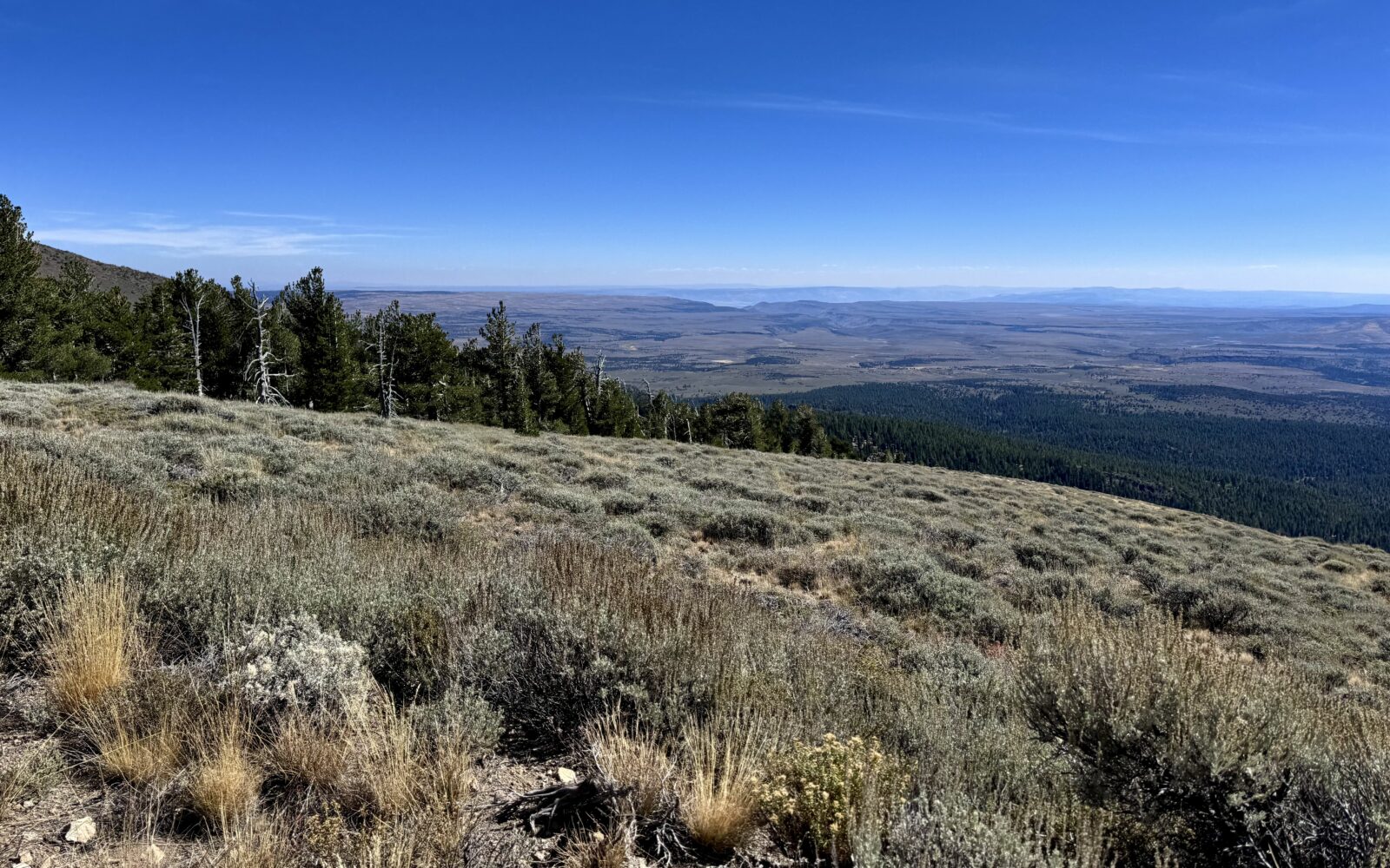 Drake Peak Lookout / Gravel Ride Guide by Dirty Freehub