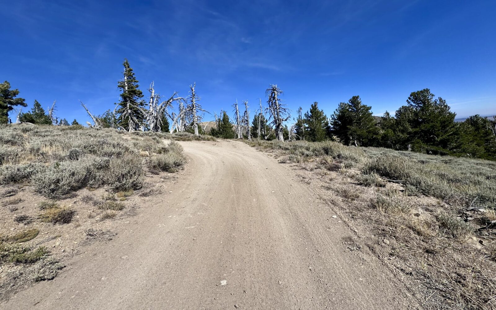 Drake Peak Lookout / Gravel Ride Guide by Dirty Freehub