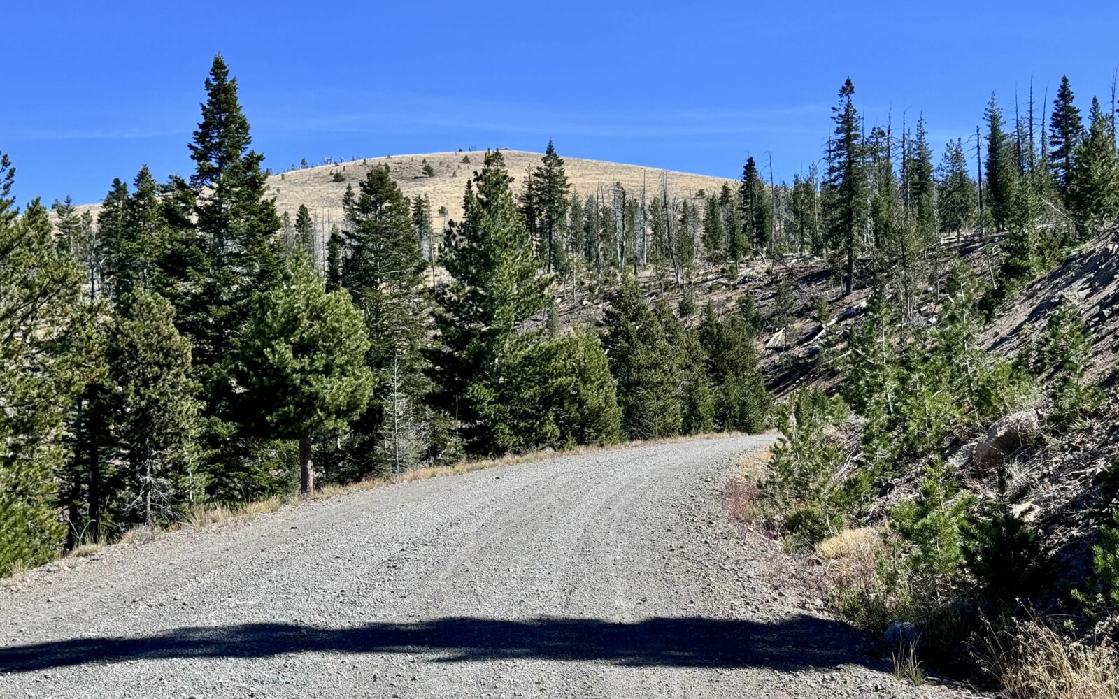Drake Peak Lookout / Gravel Ride Guide by Dirty Freehub