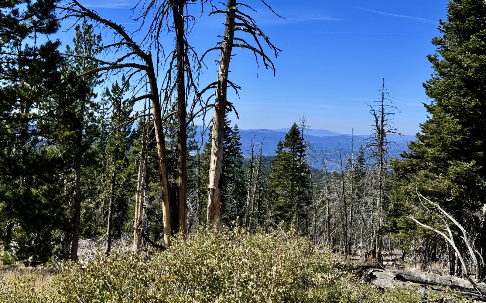 Drake Peak Lookout / Gravel Ride Guide by Dirty Freehub