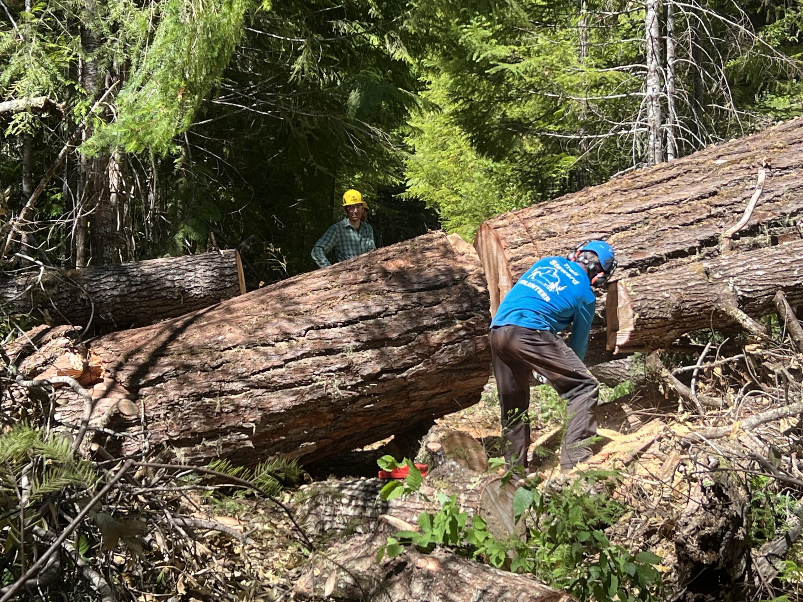 Dirty Roads Crew - Dirty Freehub