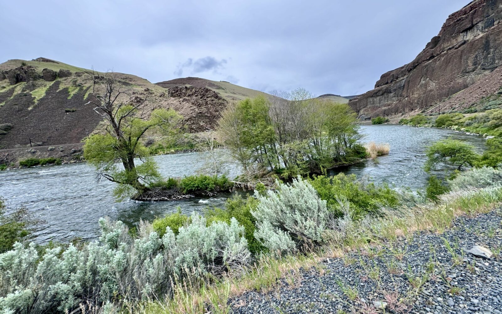 Boxcar / Gravel Ride Guide by Dirty Freehub