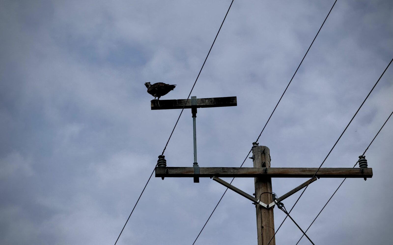 Boxcar / Gravel Ride Guide by Dirty Freehub