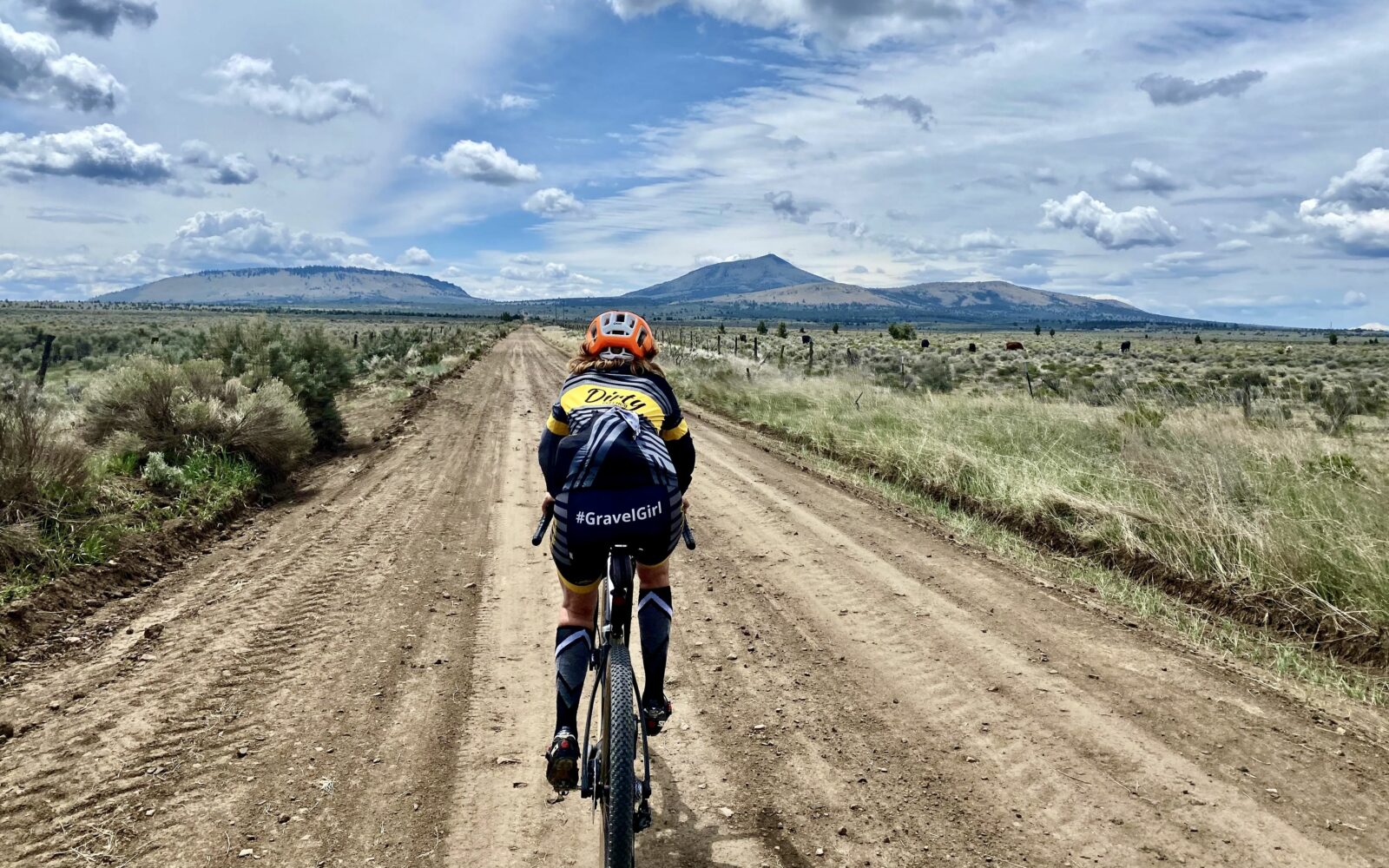 Experimental Rattlesnake / Gravel Ride Guide by Dirty Freehub